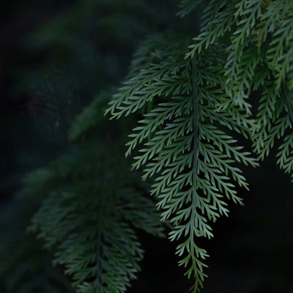 Enviro NZ | Enviro NZ releases its first sustainability report